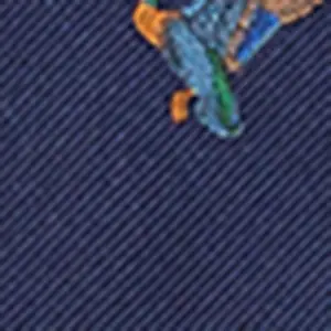 Polo Ralph Lauren Silk Mallard Tie