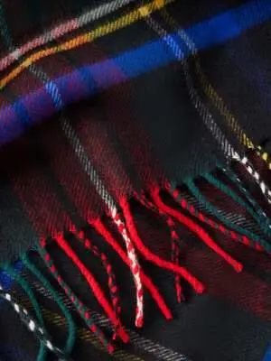Johnstons Of Elgin Fringed Checked Wool Scarf