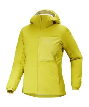 Women's Arc'teryx High Neck