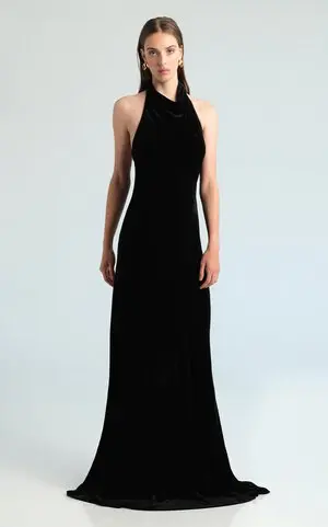 Cara Cara Huntball Silk-blend Velvet Gown