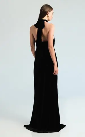 Cara Cara Huntball Silk-blend Velvet Gown