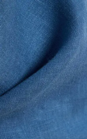 THE ANTEROS Exclusive Coen Linen Shorts
