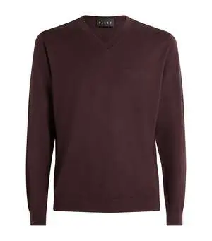 Falke Ultrafine Merino Wool V-neck Sweater - Brown