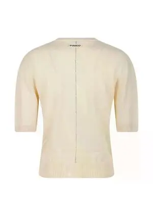 Pinko V-neck Sweater In Wool And Cashmere