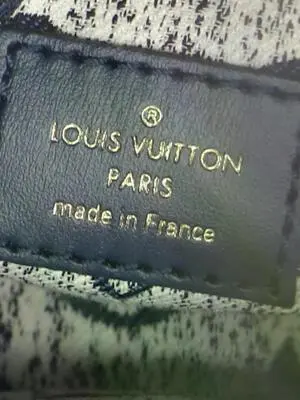 LOUIS VUITTON Loop Handbag Monogram Jacquard Denim Hobo Bag