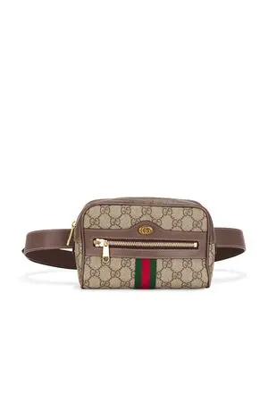 Gucci Ophidia Belt Bag
