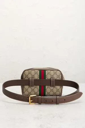 Gucci Ophidia Belt Bag