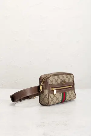 Gucci Ophidia Belt Bag