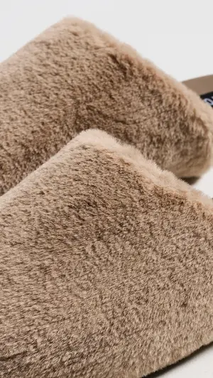 ROAM Cloud Mules
