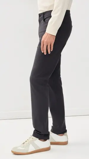 Theory Raffi Pants