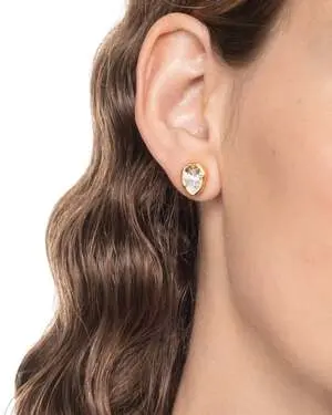 Alexis Bittar Asterales Spear Front Back Earrings