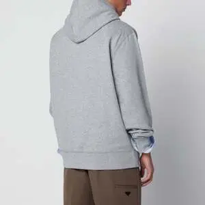 Polo Ralph Lauren Hoodie In Brushed Cotton