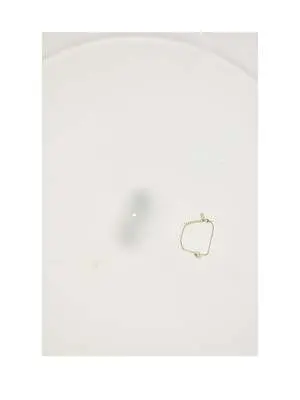 Dior Signature Clover Bracelet