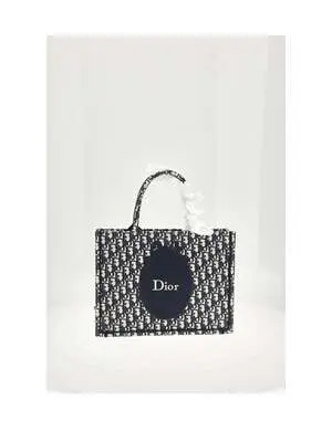 Dior Dior Women Dior Bag Multicolor