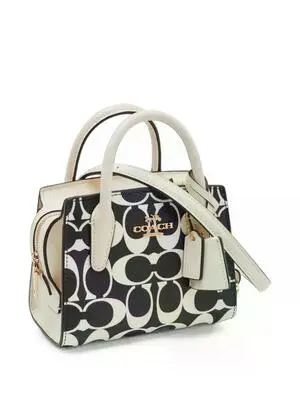 COACH Andrea Carryall Signature Handbag