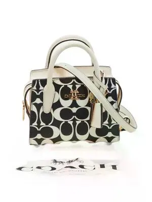 COACH Andrea Carryall Signature Handbag