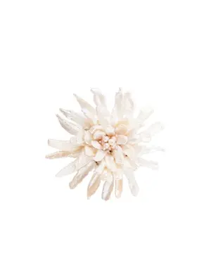 JENNIFER BEHR Brooch With Pearl And Crystal Accents - No