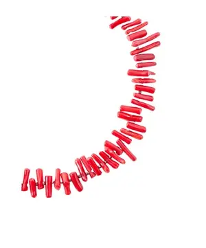 Assouline Coral Branch Necklace