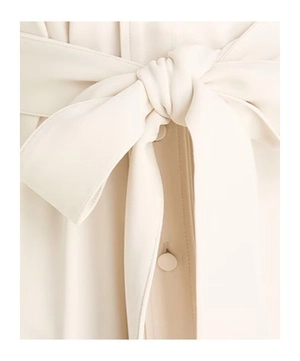 Max Mara Fitted Shirt Dress