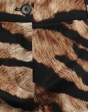 Dolce & Gabbana Casual Trousers With Tiger Stripe Print