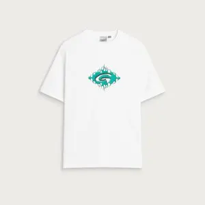 Gramicci Flames T-shirt
