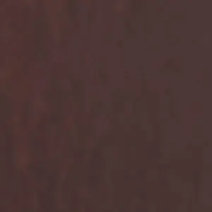 Brunello Cucinelli Leather Western Belt