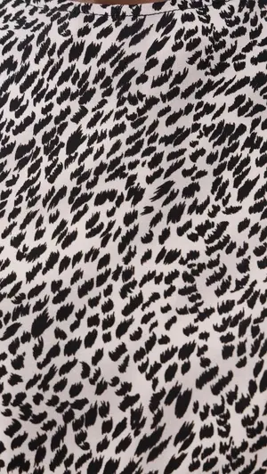 Sea Charlize Cheetah Print Dress