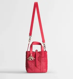 Dior Small Toujours Vertical Tote Bag