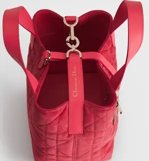 Dior Small Toujours Vertical Tote Bag