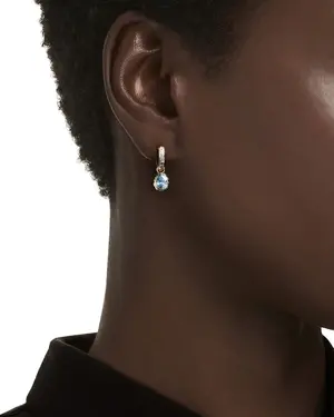 SWAROVSKI Chroma Crystal Charm Hoop Earrings