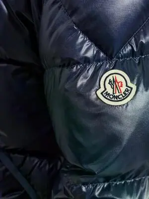 Moncler Anapo Hooded Puffer Jacket