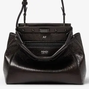 Fendi Peekaboo Xs Bag