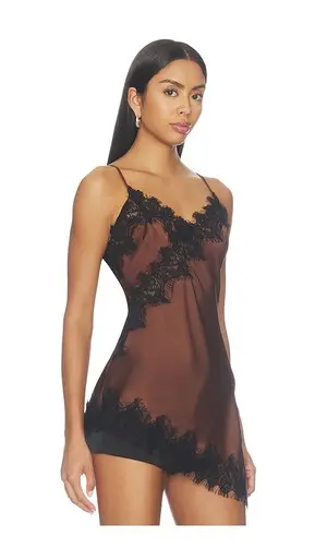 Astr The Label Lace Trim Asymmetrical Top - Brown