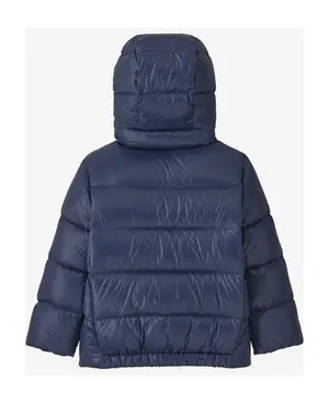 Patagonia Padded Hooded Jacket