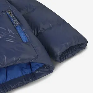 Patagonia Padded Hooded Jacket