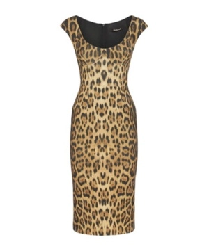 Roberto Cavalli Leopard Print V-neck Midi Dress - No