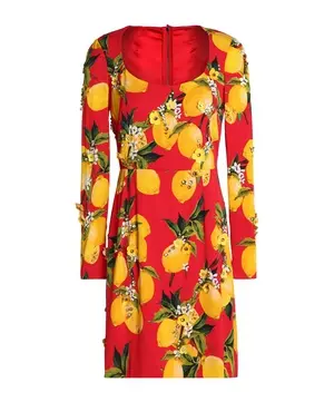Dolce & Gabbana Floral Print Satin Dress - Red