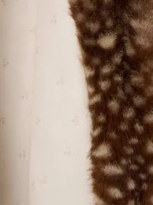 Bonpoint Doogie Coat