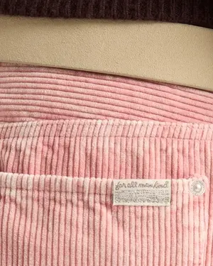 7 For All Mankind Cherry Corduroy Skirt
