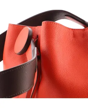 Hermès 17 Licol Bag Evercolor
