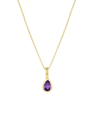 SET & STONES Teardrop Birthstone Necklace February