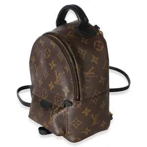 LOUIS VUITTON Monogram Canvas Palm Springs Backpack - Brown