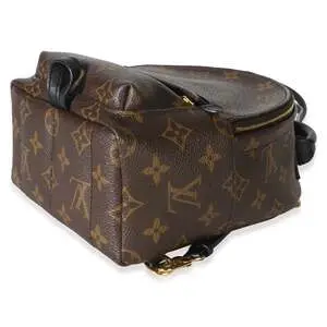 LOUIS VUITTON Monogram Canvas Palm Springs Backpack - Brown