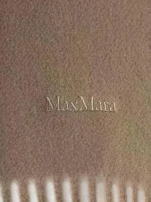 Max Mara Fringed Logo-embroidered Scarf