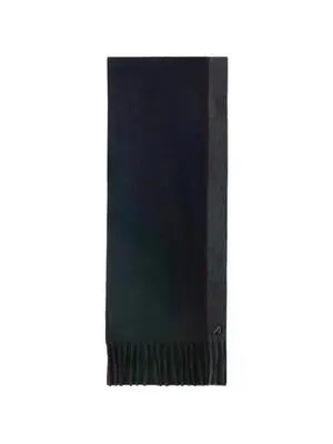 Prada Cashmere And Wool Scarf - Blue