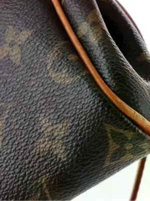LOUIS VUITTON Eva Monogram Canvas Clutch Bag