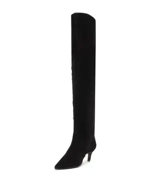 Schutz Odessa Suede Over-the-knee Boots