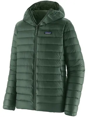 Patagonia Down Sweater Hoody - Green