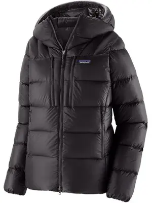 Patagonia Fitz Roy Down Hoody - Black