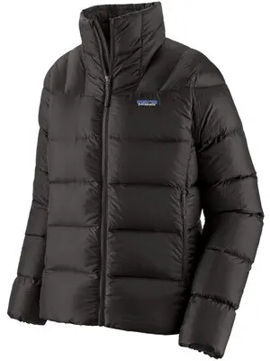 Patagonia Fitz Roy Down Jacket